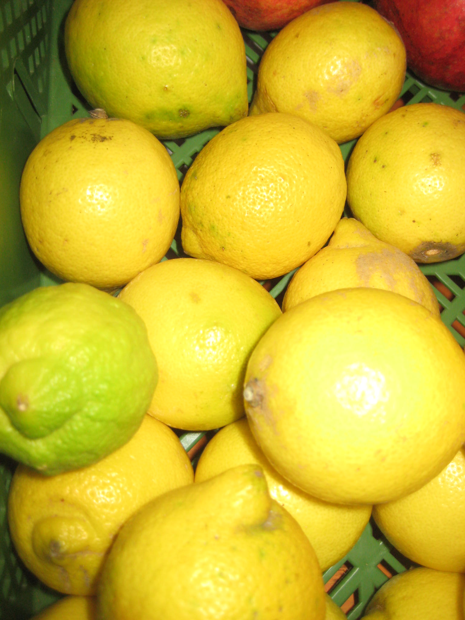 Bio- Zitronen – Bio Grauer Naturkostladen