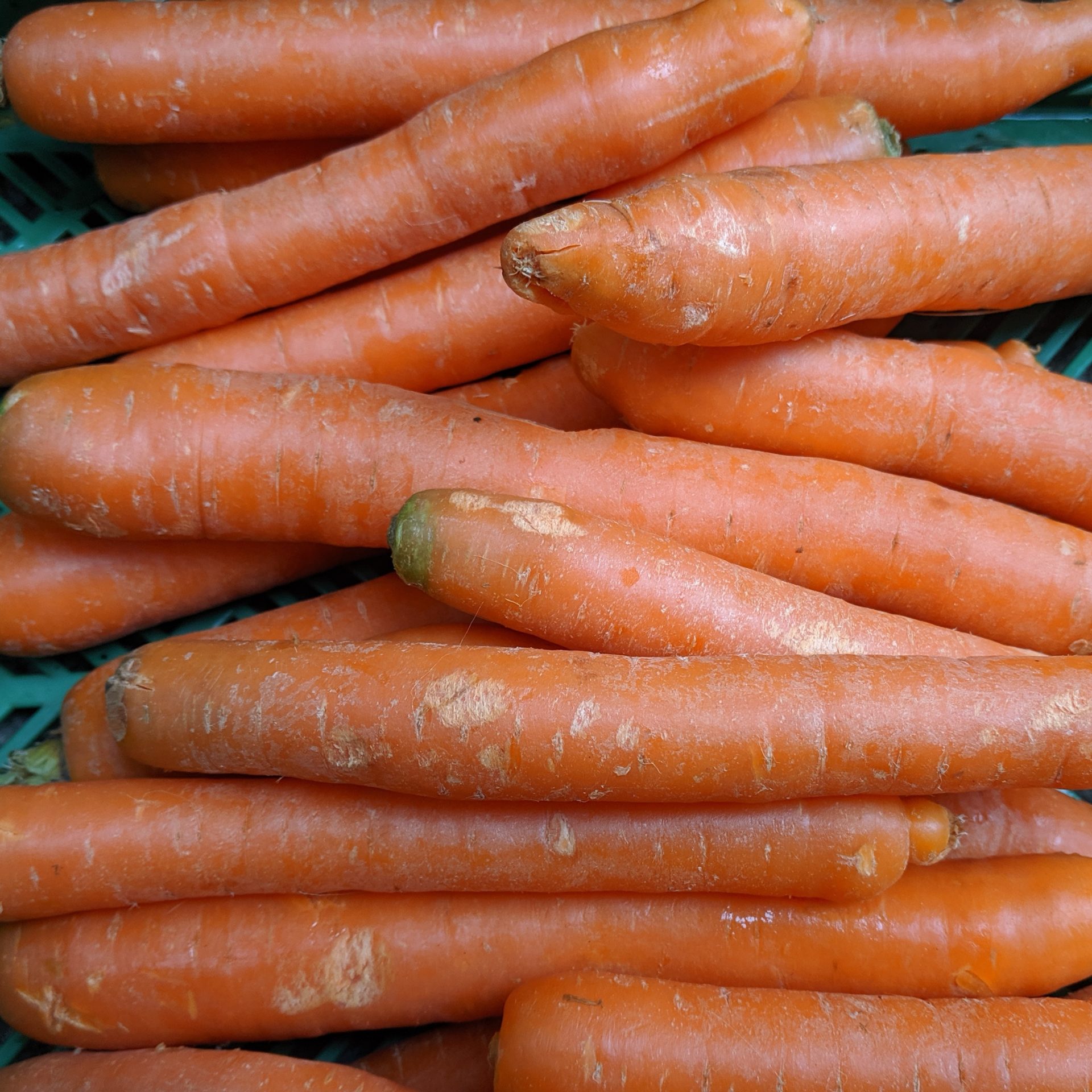 Bio-Karotten – Bio Grauer Naturkostladen