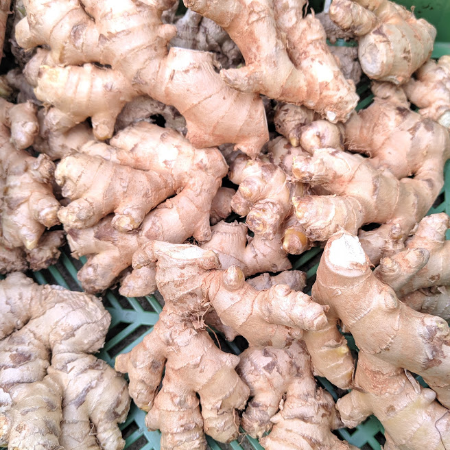 Bio-Ingwer – Bio Grauer Naturkostladen